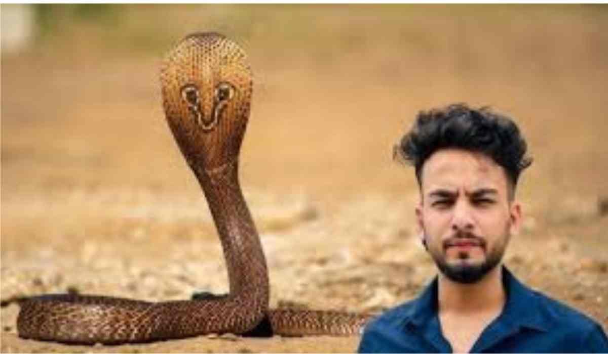 FSL made a big revelation in the Elvish Yadav case, snake venom was ...
